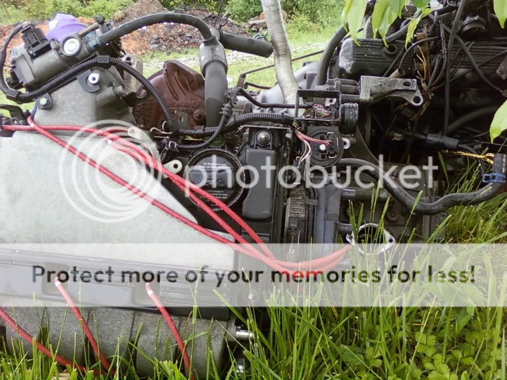 FS: Vr6 83xxx miles obd2 | VW Vortex - Volkswagen Forum