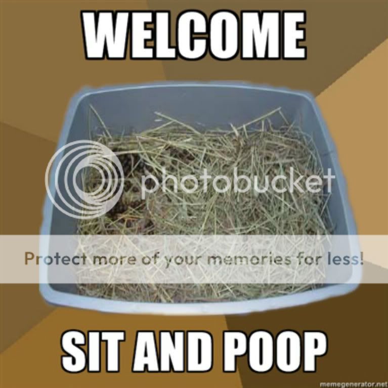 BunSpace.com Forum: Poop