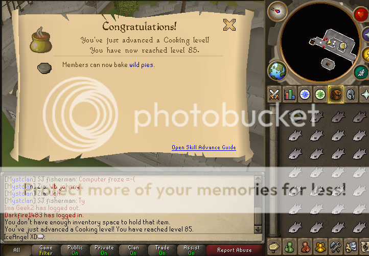 Stella's Skill Log - Page 3 - Skill Logs - Sal's RuneScape Forum