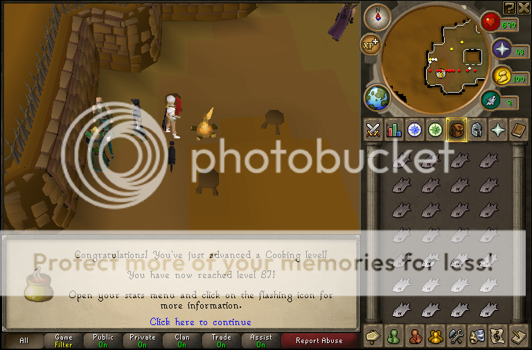 Stella's Skill Log - Page 3 - Skill Logs - Sal's RuneScape Forum