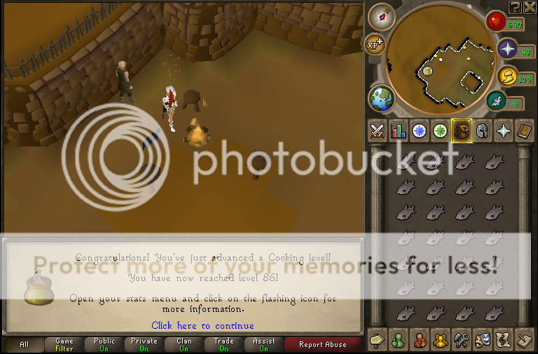 Stella's Skill Log - Page 3 - Skill Logs - Sal's RuneScape Forum