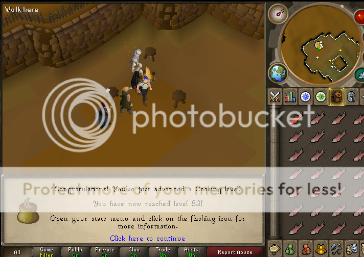 Stella's Skill Log - Page 3 - Skill Logs - Sal's RuneScape Forum